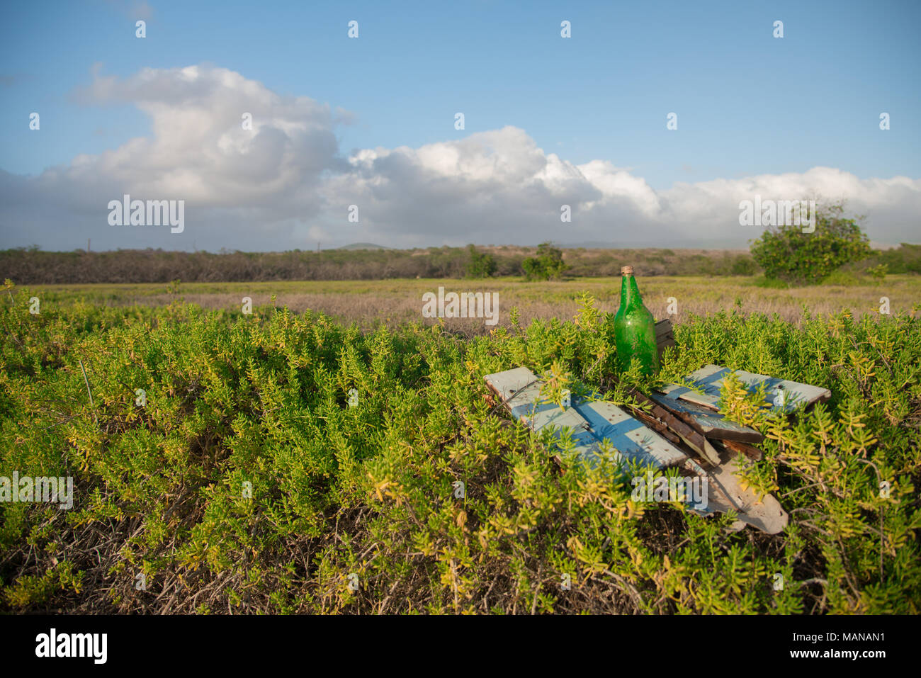 Trash was taken in Oahu island, America. Oahu is known a tropical ...