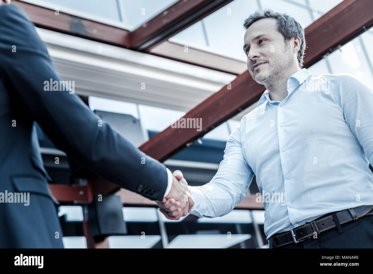 Positive nice man shaking hands with his business partner Stock Photo ...