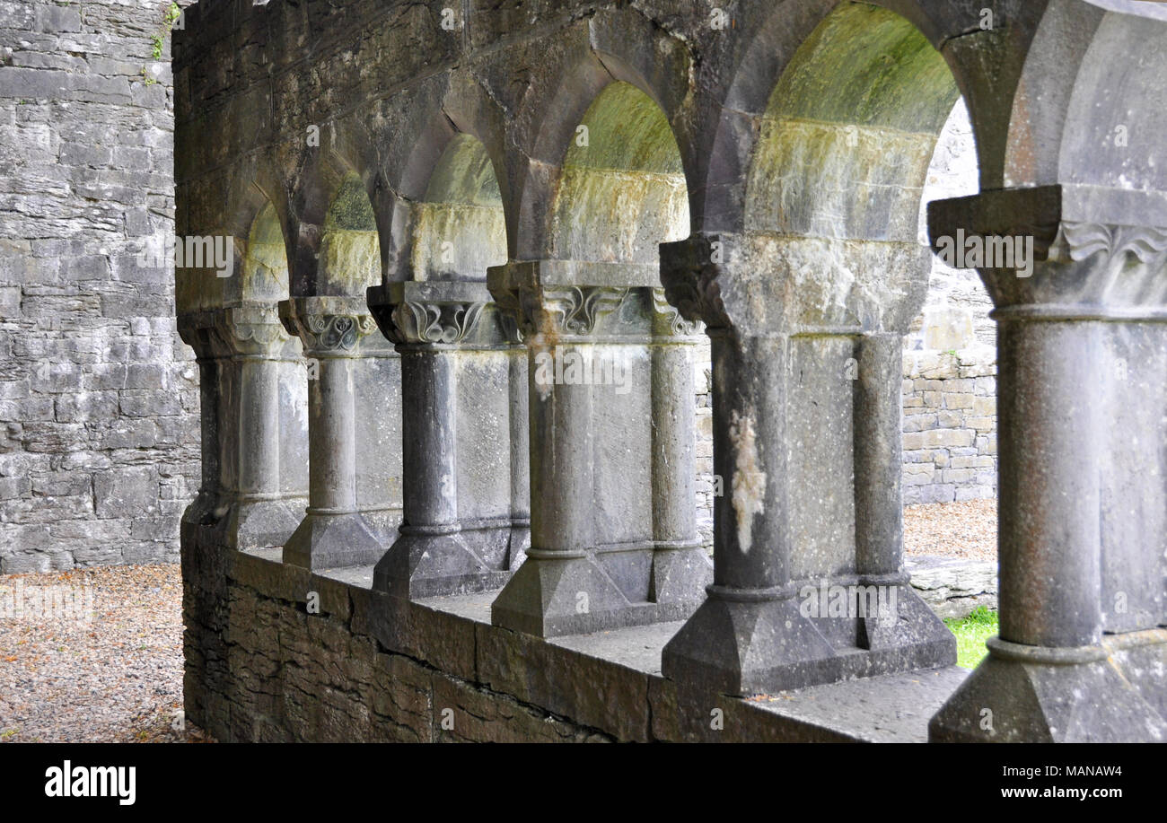 Cloisters cong abbey hi-res stock photography and images - Alamy