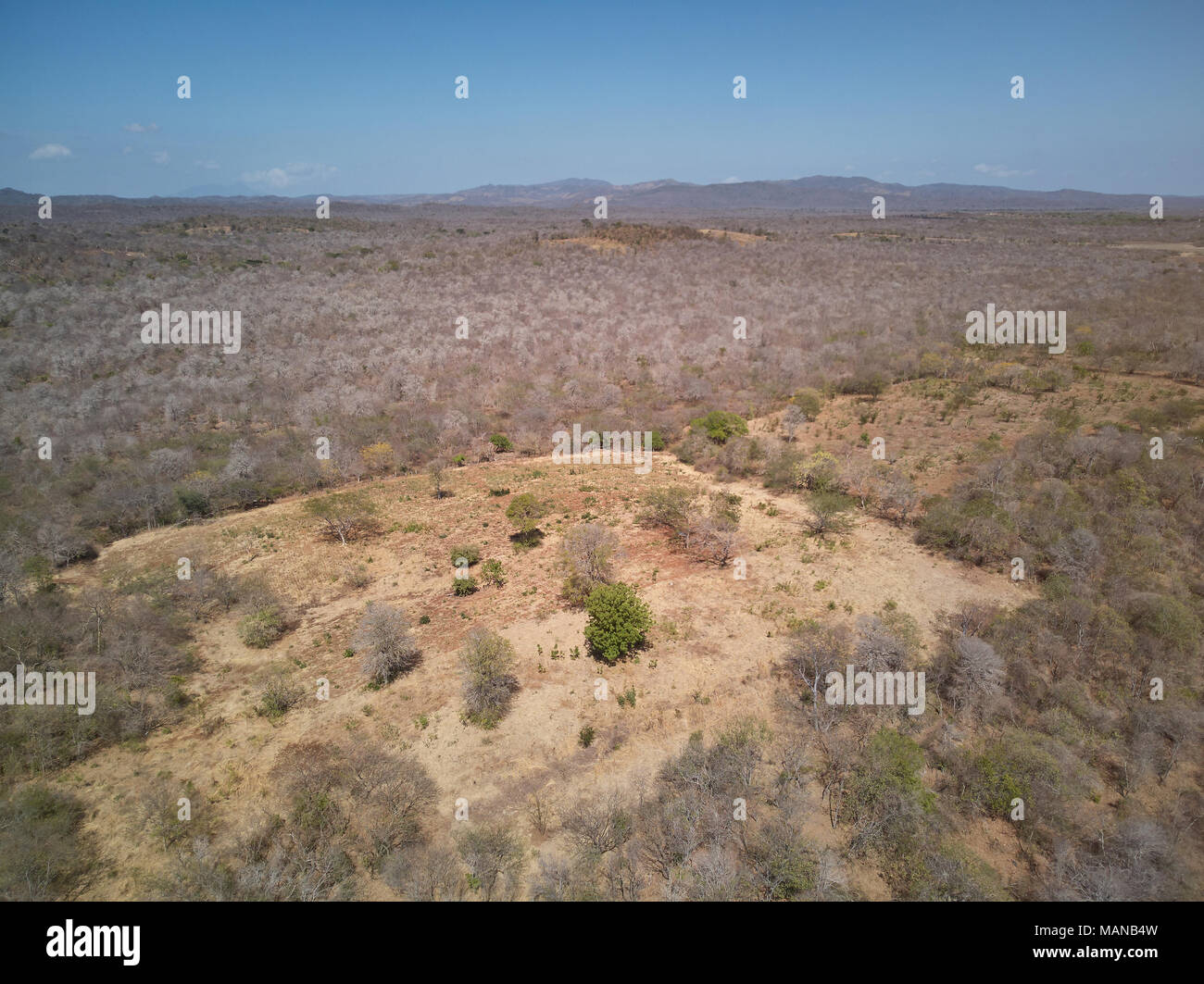 Tropical dry forest hi-res stock photography and images - Alamy
