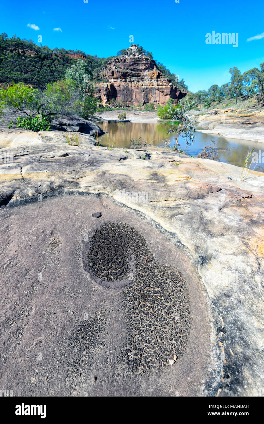 Dried mud patterns in the riverbed at Porcupine Gorge National Park ...