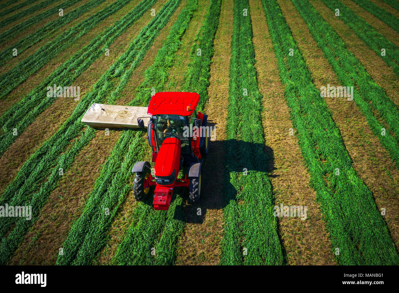 Forward from above blue hi-res stock photography and images - Alamy