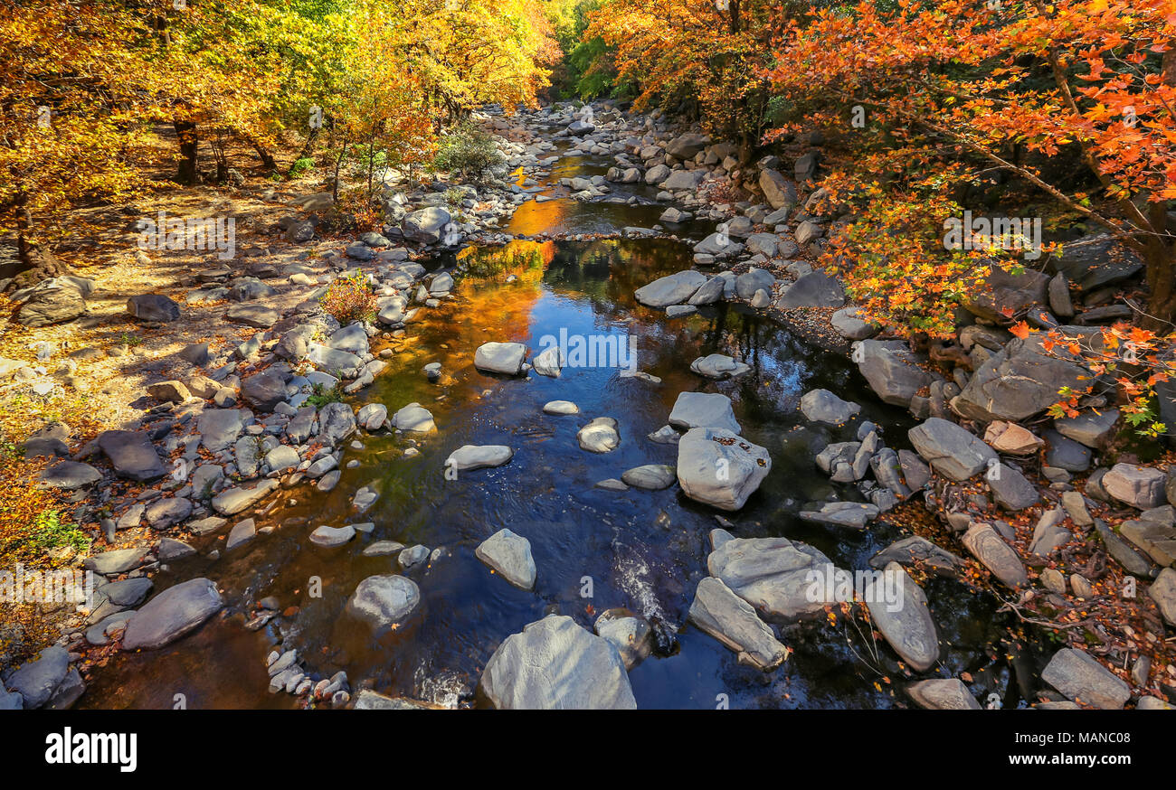 Yellow autumn on river hi-res stock photography and images - Alamy