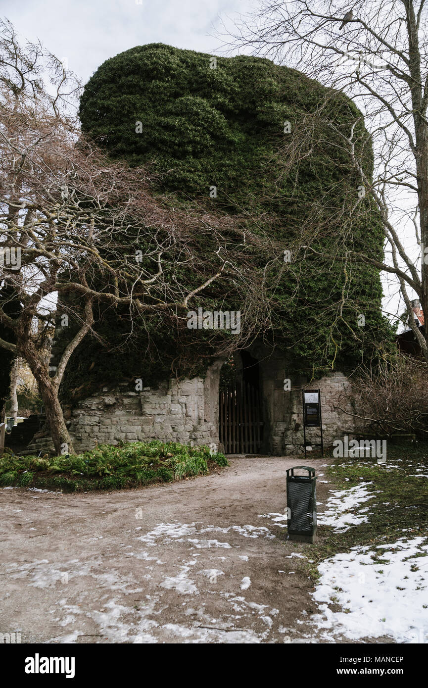 Winter in Visby on the island of Gotland in the Baltic Sea Stock Photo ...
