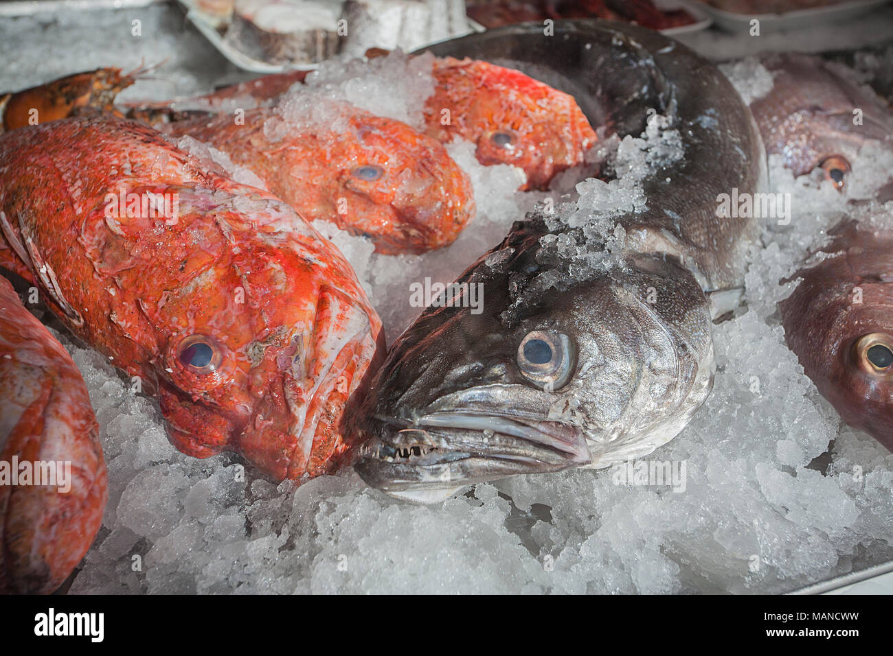 Estanco hi-res stock photography and images - Alamy