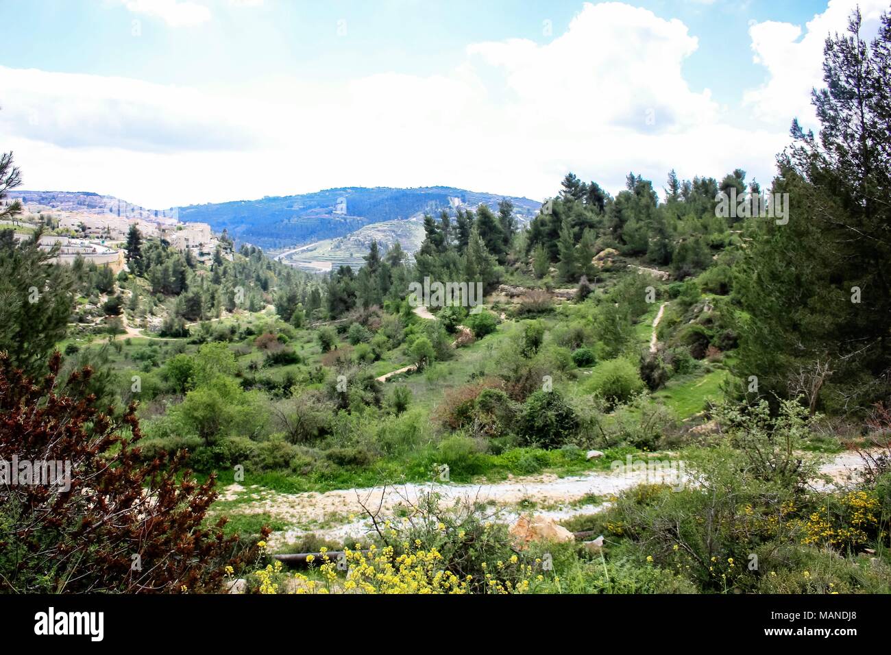 Nature and landscape around Jerusalem in Israel Landscape and nature at ...