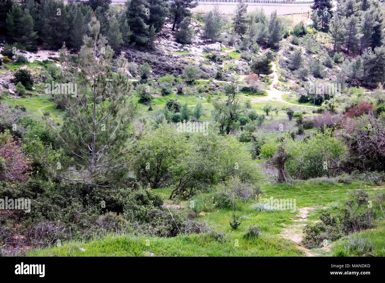 Nature and landscape around Jerusalem in Israel Landscape and nature at ...
