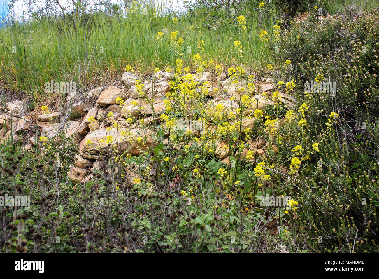 Nature and landscape around Jerusalem in Israel Landscape and nature at ...