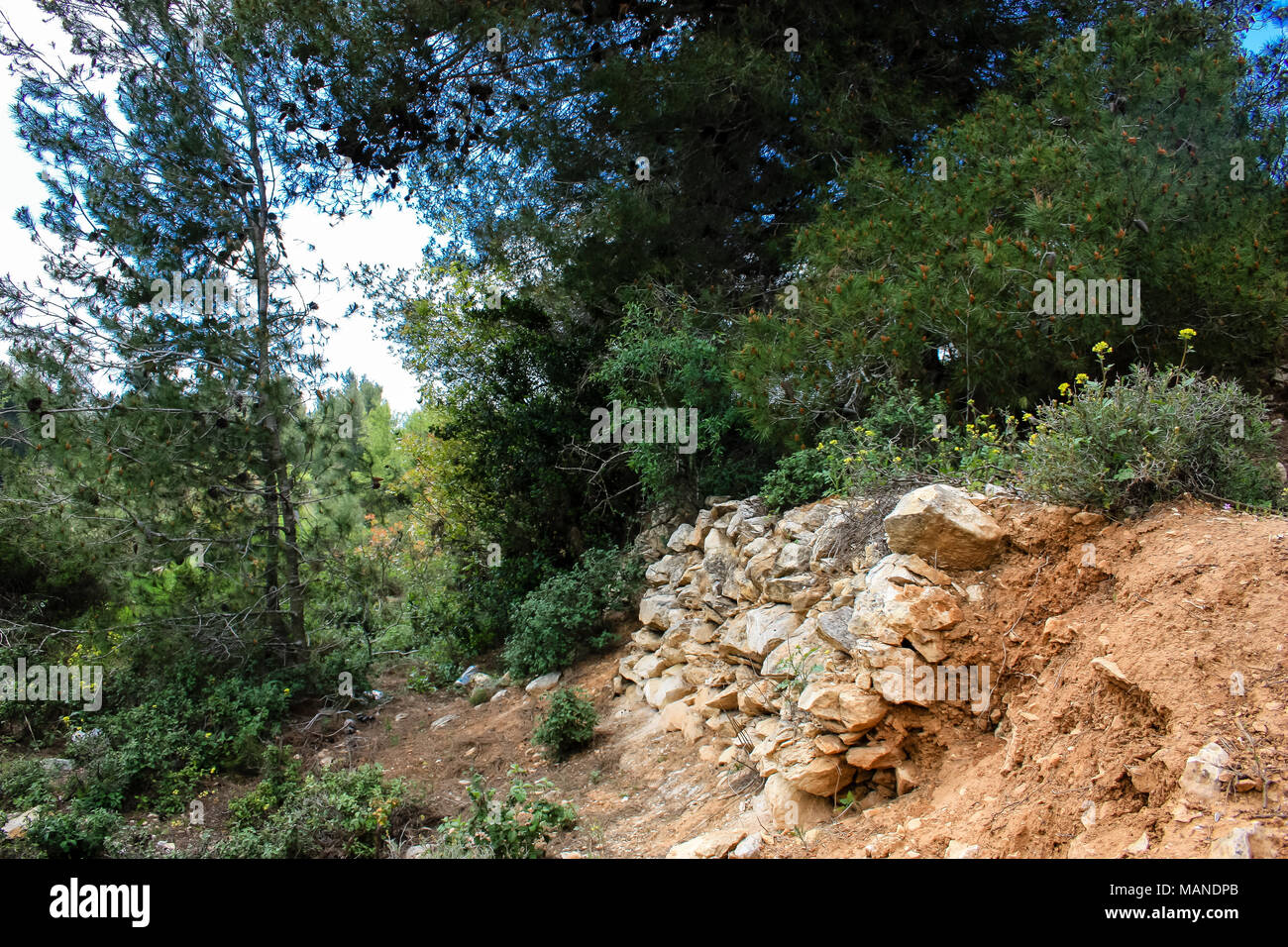 Nature and landscape around Jerusalem in Israel Landscape and nature at ...