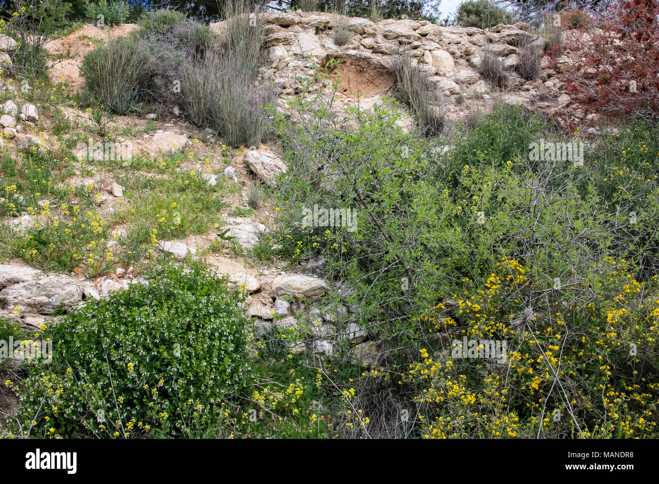 Nature and landscape around Jerusalem in Israel Landscape and nature at ...