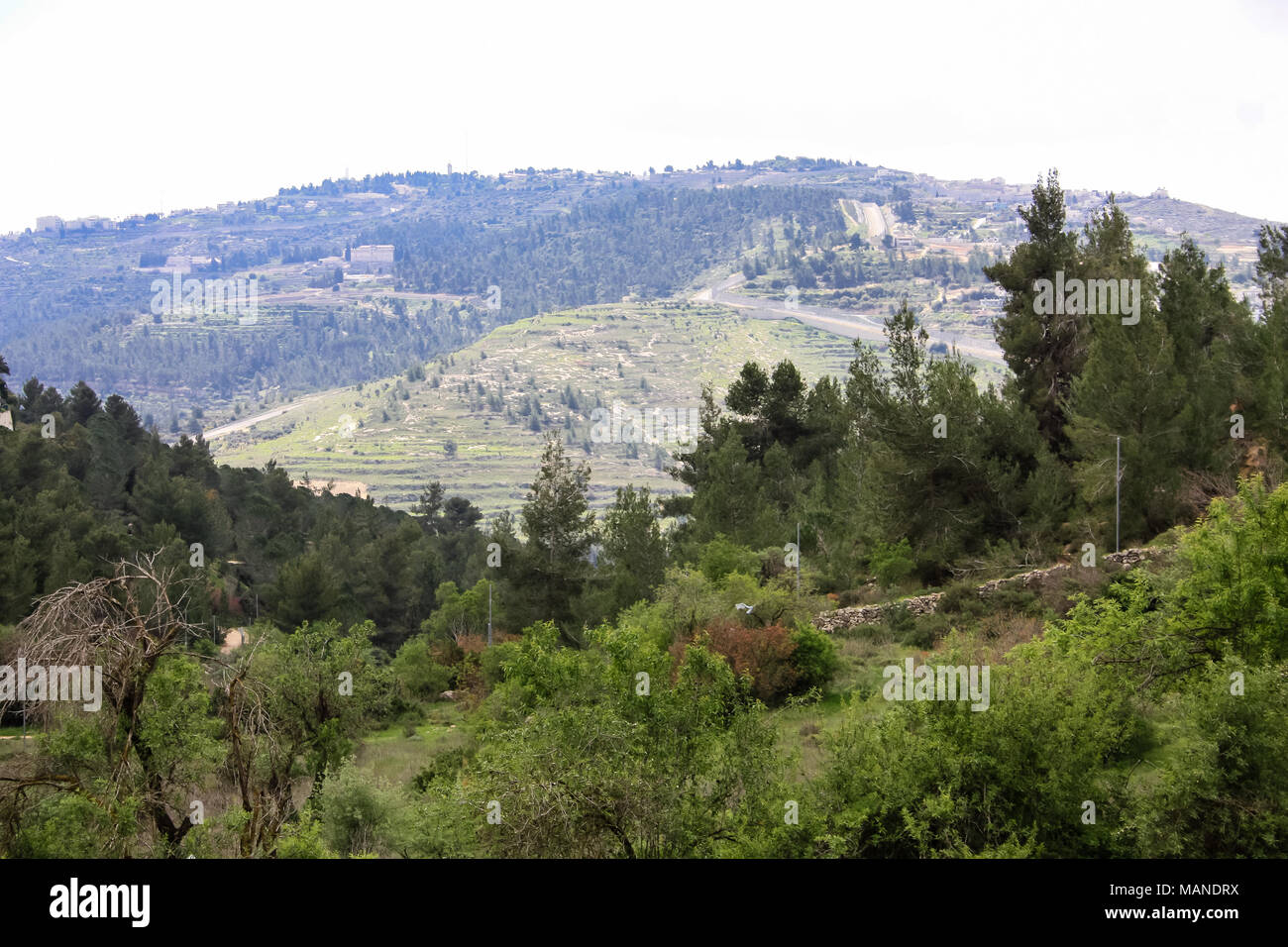 Nature and landscape around Jerusalem in Israel Landscape and nature at ...