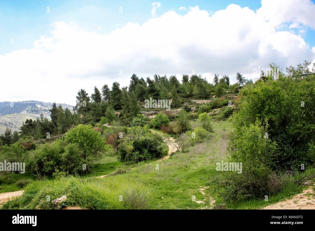 Nature and landscape around Jerusalem in Israel Landscape and nature at ...