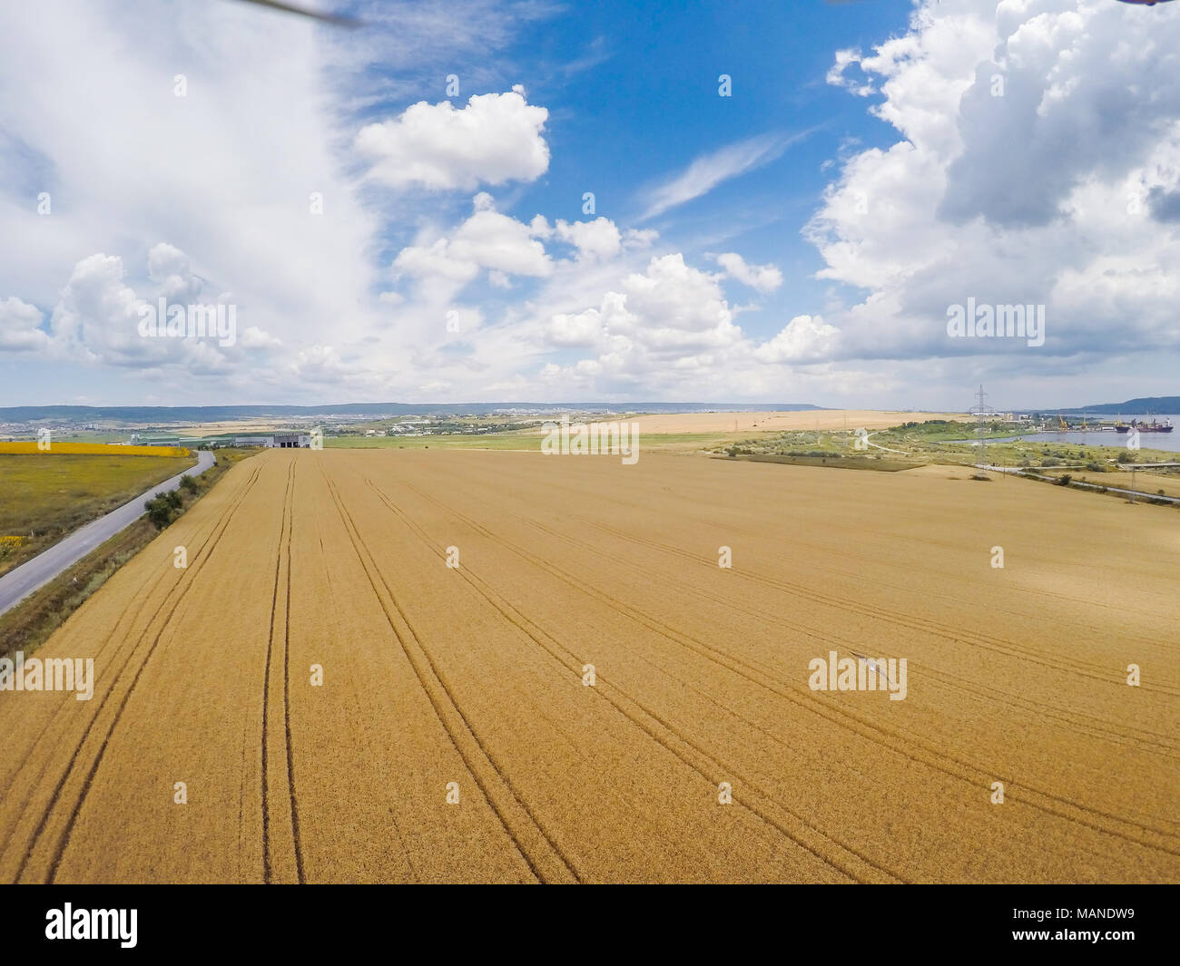 Golden wheat fields hi-res stock photography and images - Alamy