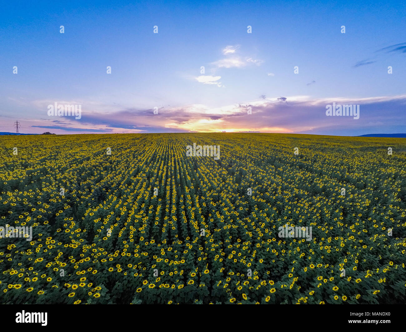 Drone agriculture hi-res stock photography and images - Alamy