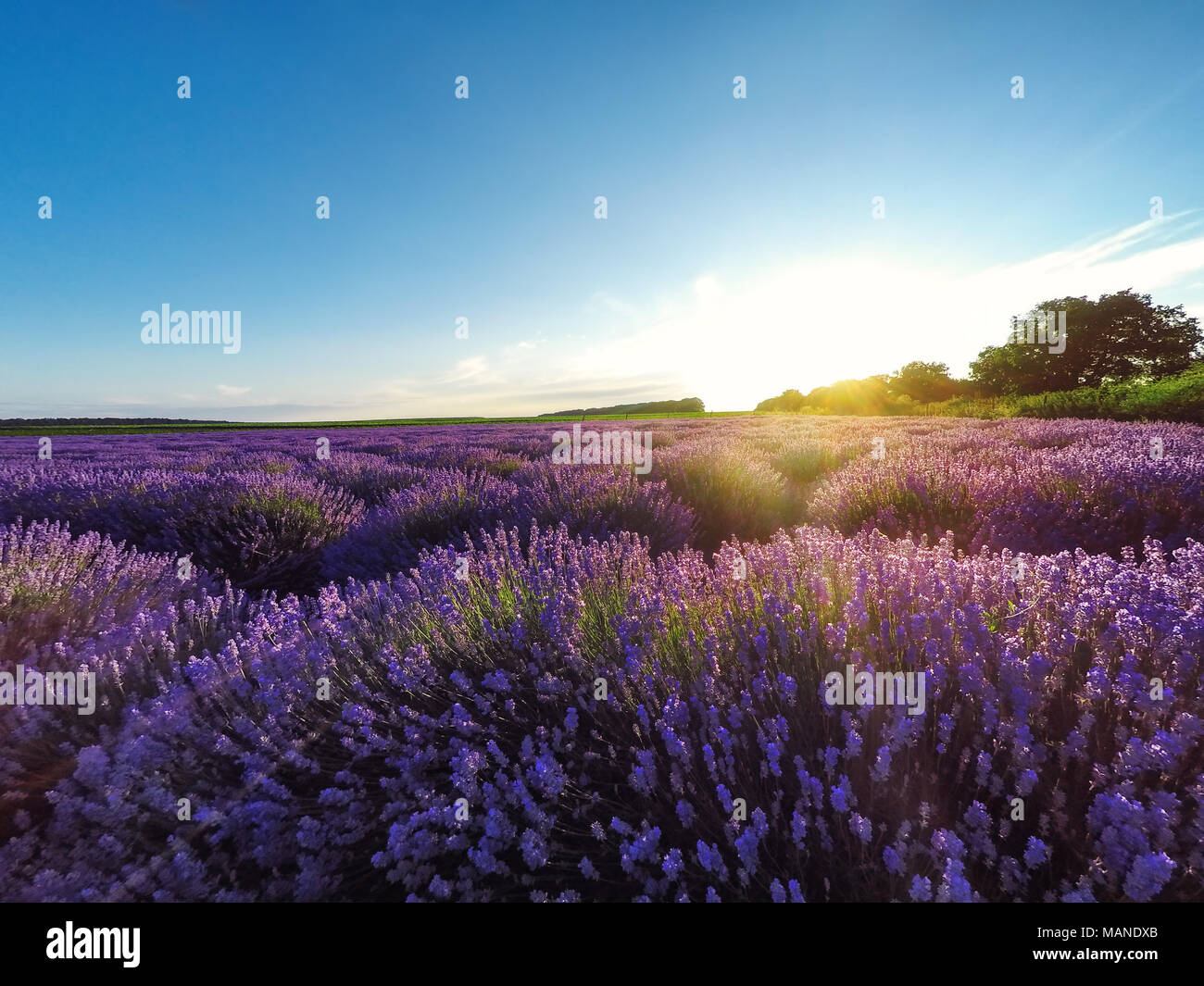 Wide angle sunset hi-res stock photography and images - Alamy