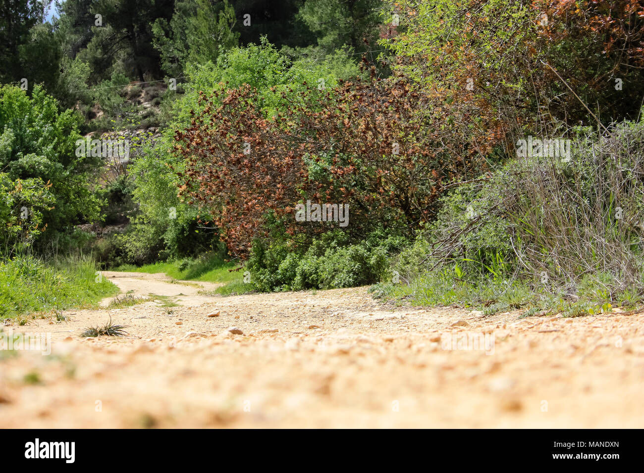 Nature and landscape around Jerusalem in Israel Landscape and nature at ...