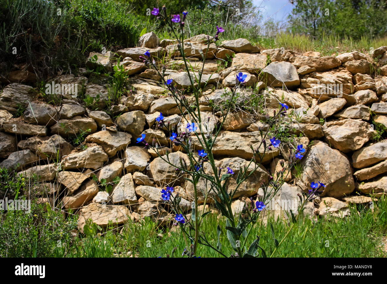 Nature and landscape around Jerusalem in Israel Landscape and nature at ...