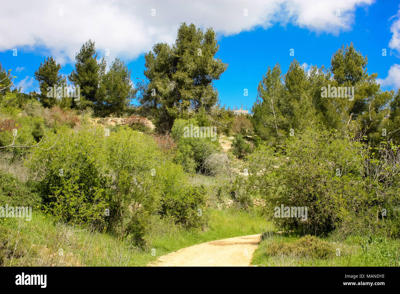 Nature and landscape around Jerusalem in Israel Landscape and nature at ...