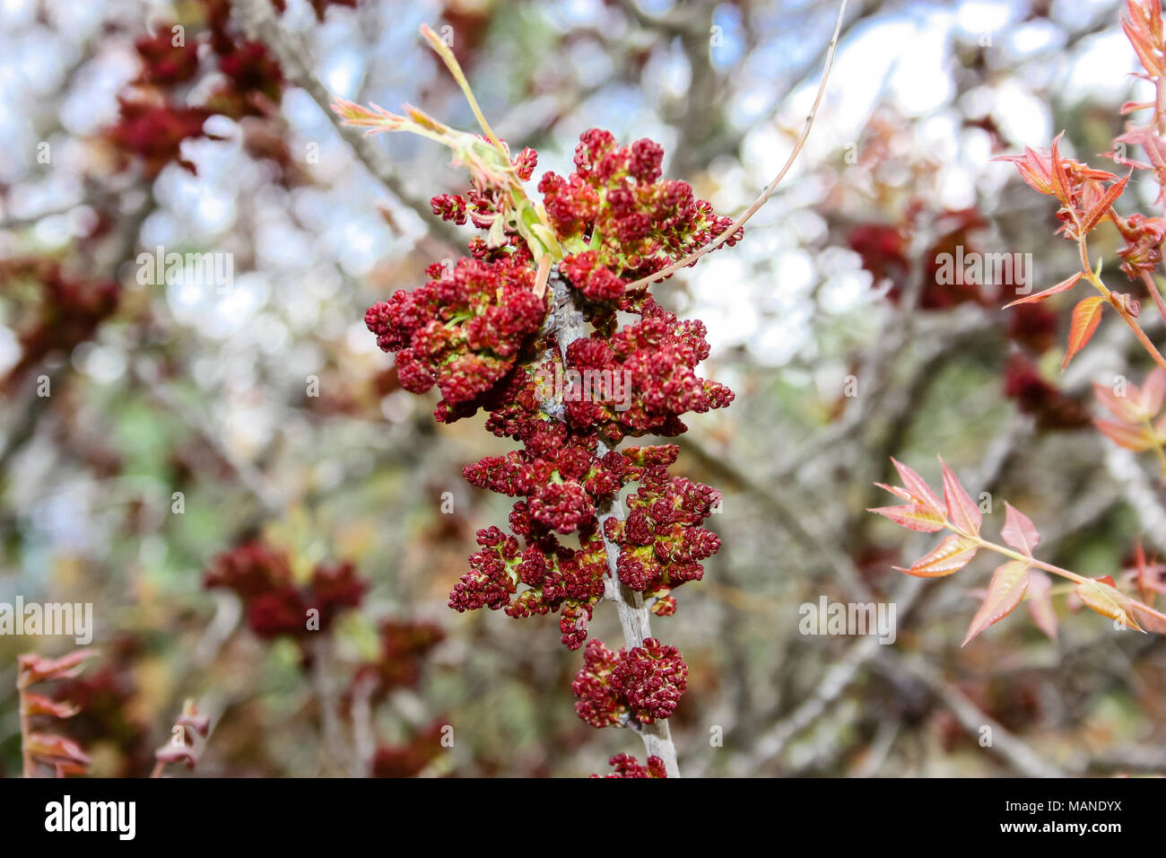 Nature and landscape around Jerusalem in Israel Landscape and nature at ...