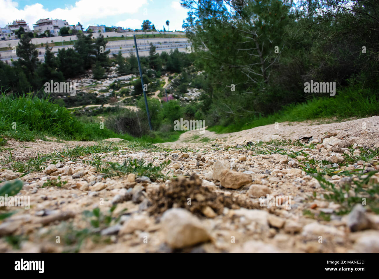 Nature and landscape around Jerusalem in Israel Landscape and nature at ...