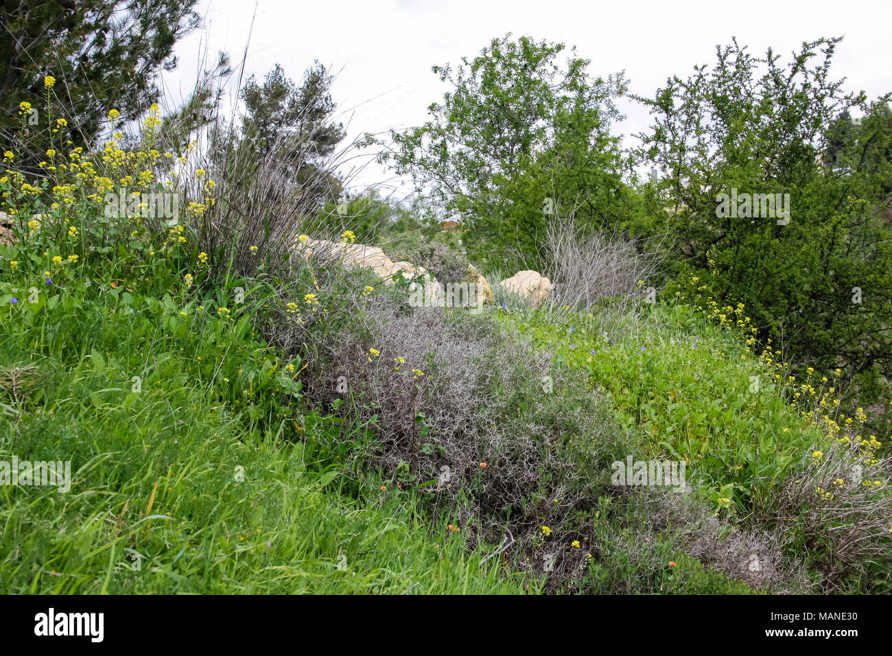 Nature and landscape around Jerusalem in Israel Landscape and nature at ...
