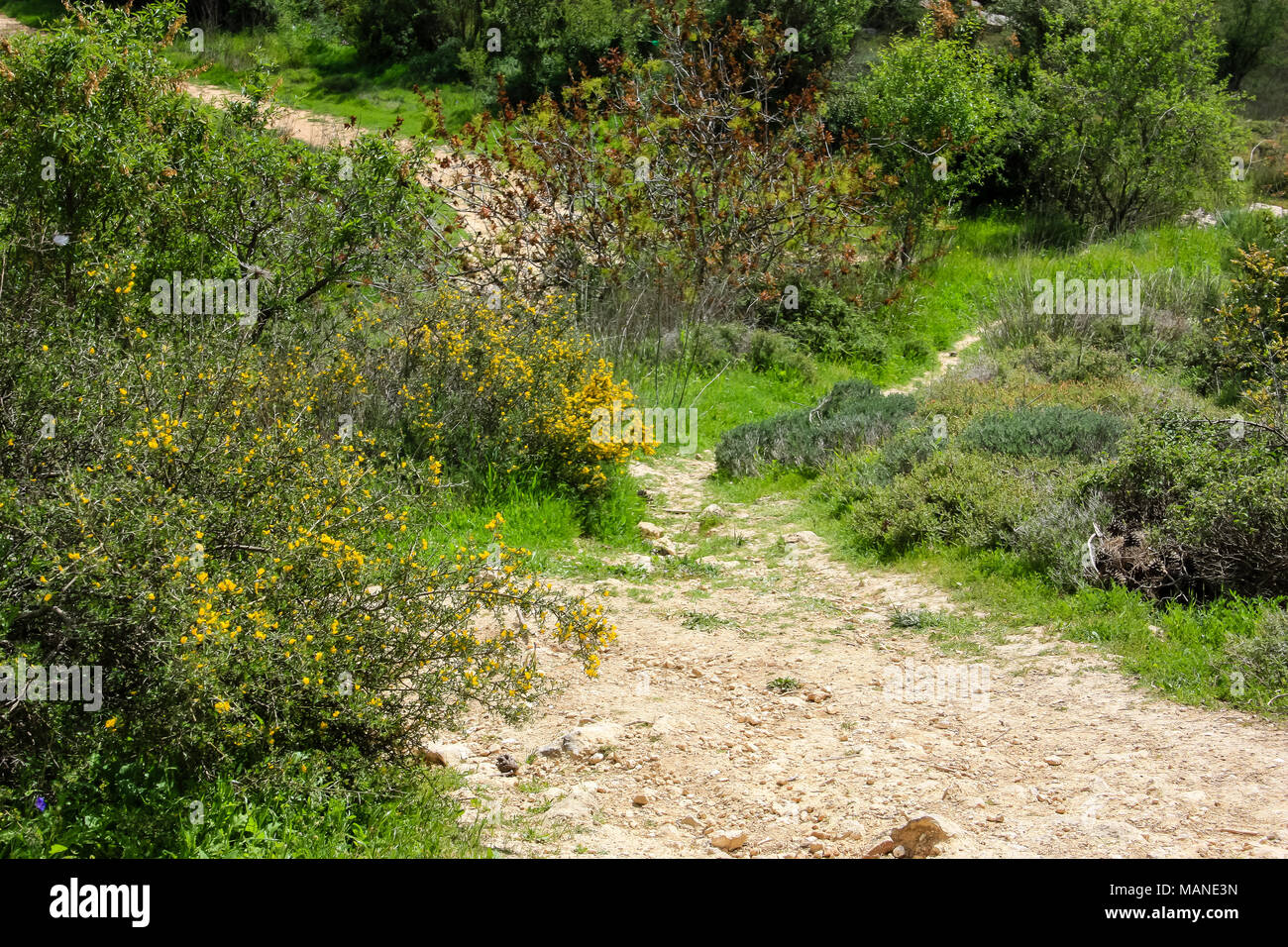 Nature and landscape around Jerusalem in Israel Landscape and nature at ...