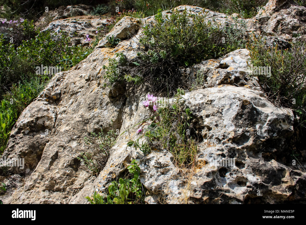 Nature and landscape around Jerusalem in Israel Landscape and nature at ...