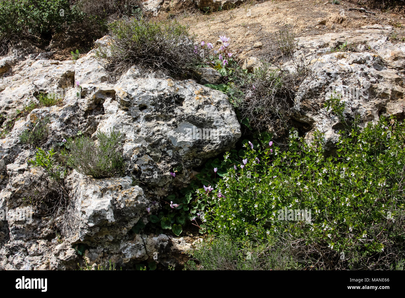 Nature and landscape around Jerusalem in Israel Landscape and nature at ...