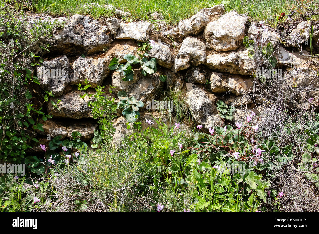 Nature and landscape around Jerusalem in Israel Landscape and nature at ...