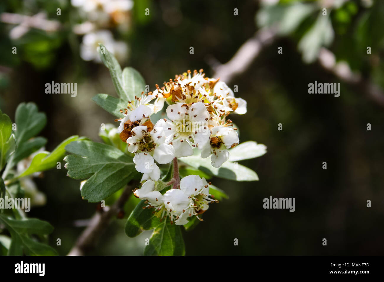 Nature and landscape around Jerusalem in Israel Landscape and nature at ...