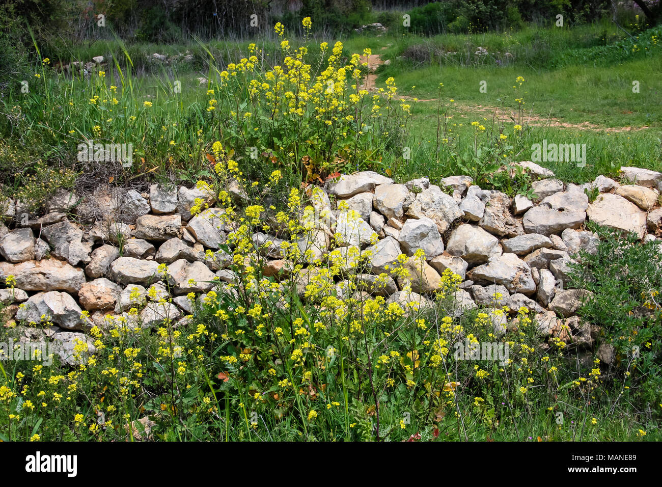 Nature and landscape around Jerusalem in Israel Landscape and nature at ...