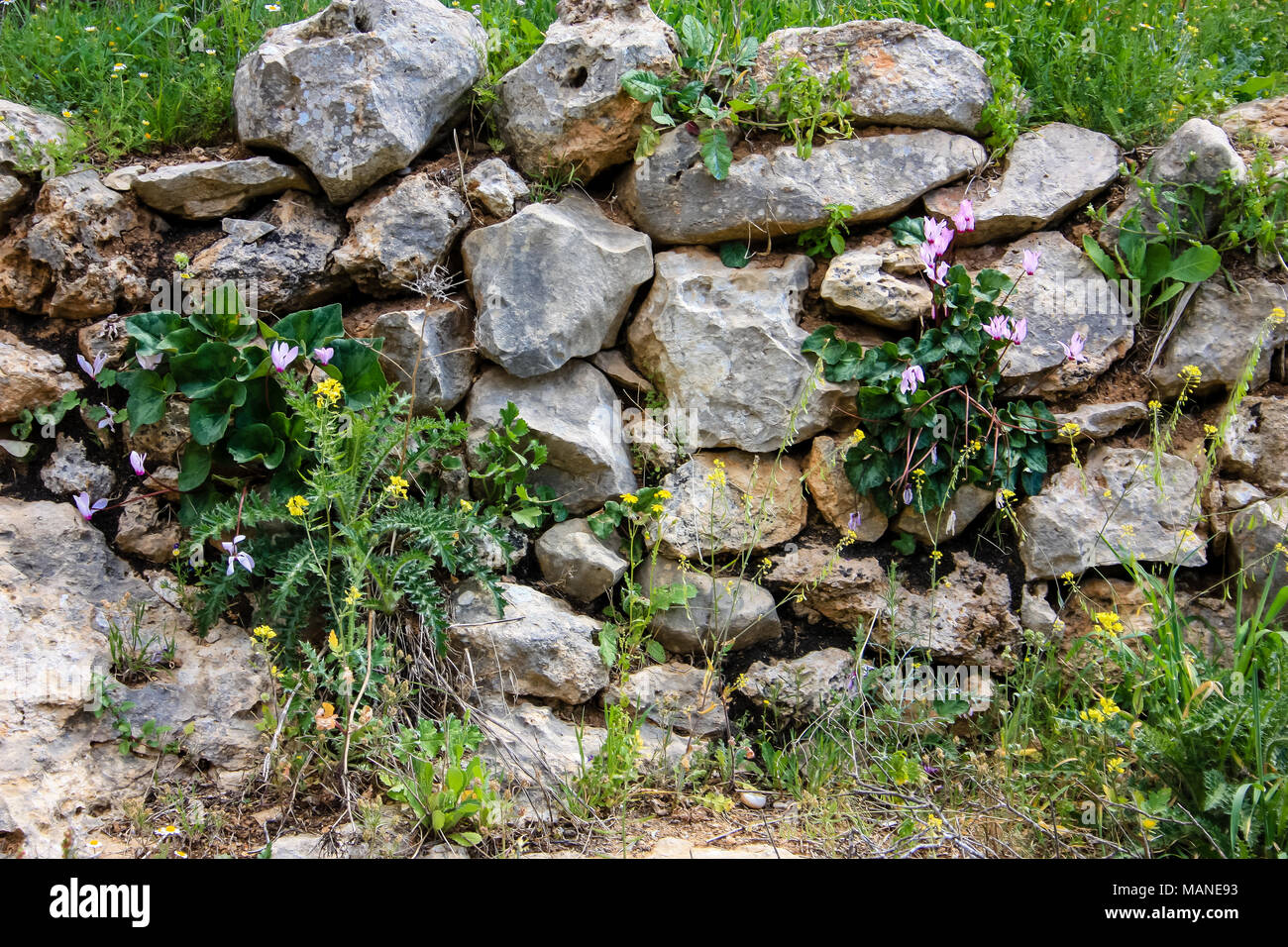 Nature and landscape around Jerusalem in Israel Landscape and nature at ...