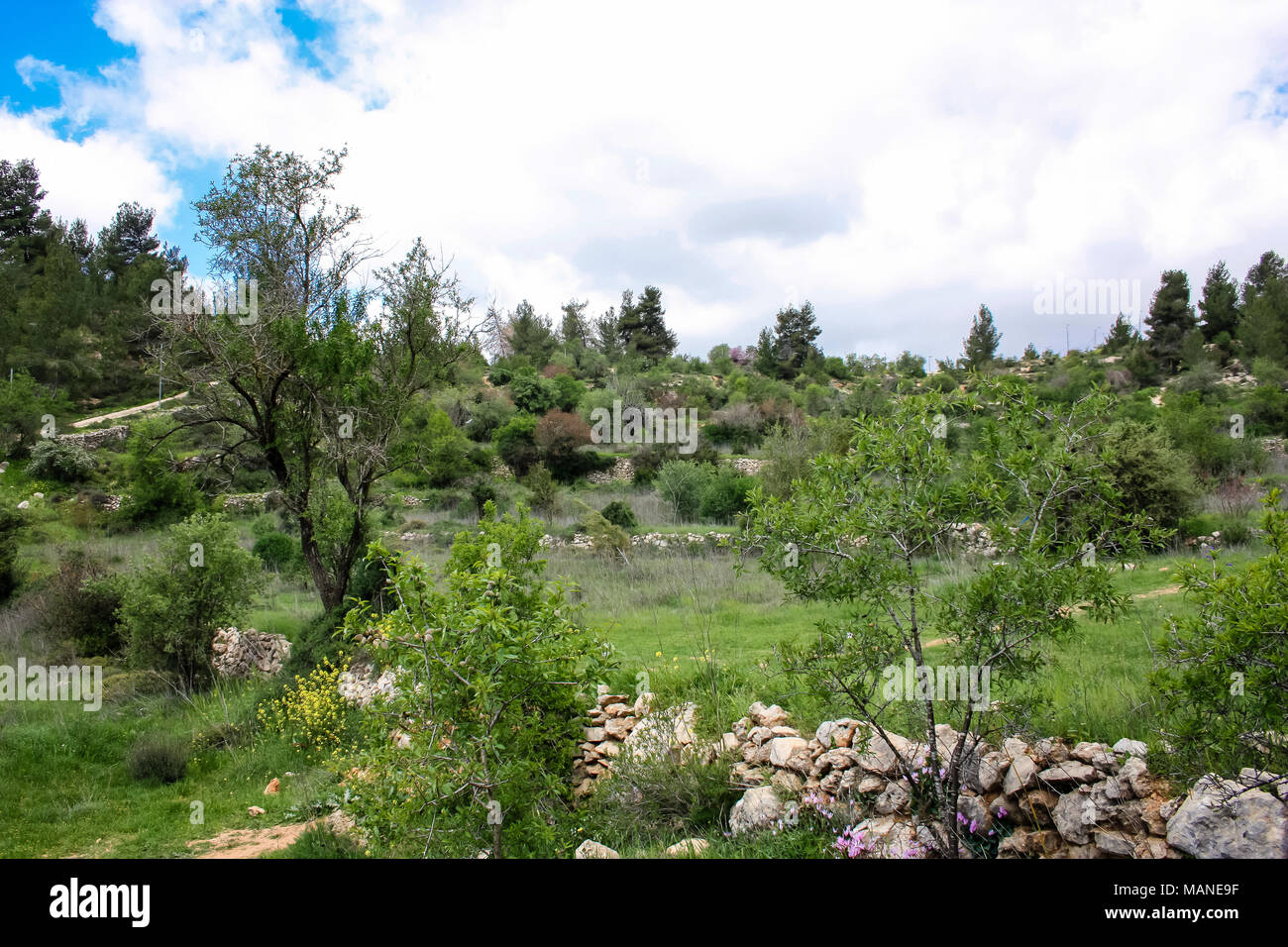 Nature and landscape around Jerusalem in Israel Landscape and nature at ...
