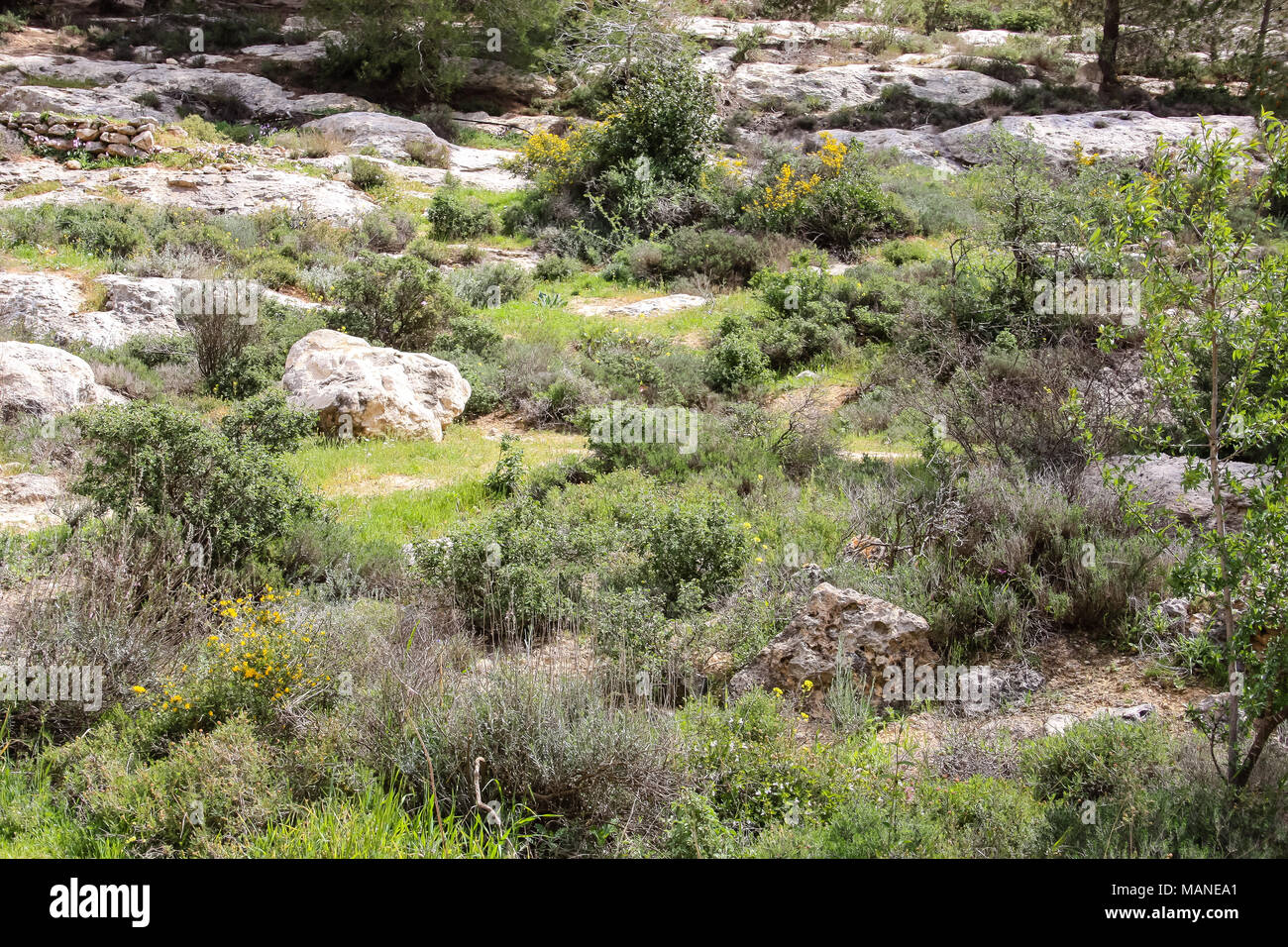 Nature and landscape around Jerusalem in Israel Landscape and nature at ...