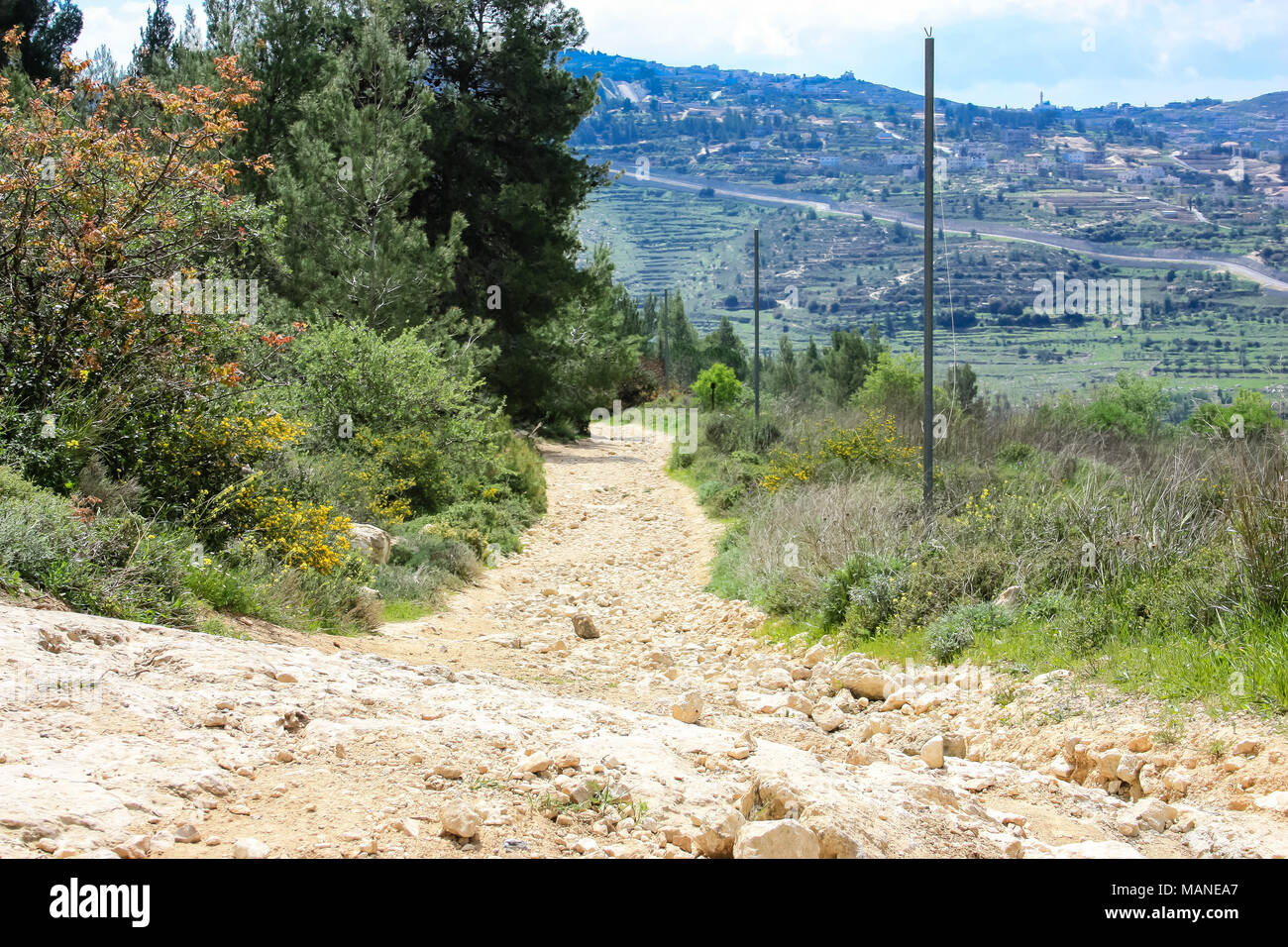 Nature and landscape around Jerusalem in Israel Landscape and nature at ...