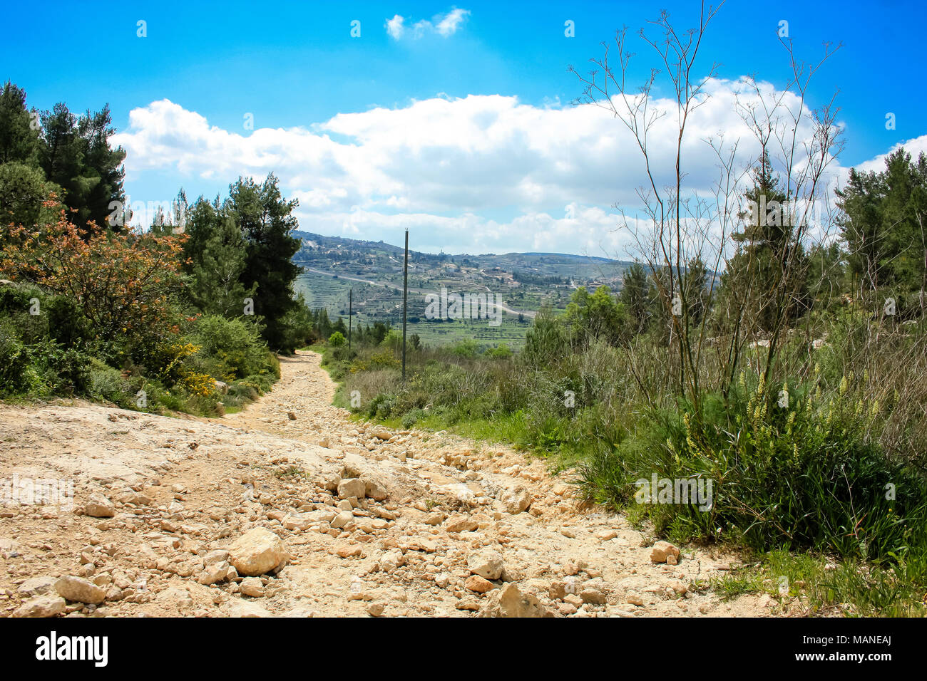 Nature and landscape around Jerusalem in Israel Landscape and nature at ...