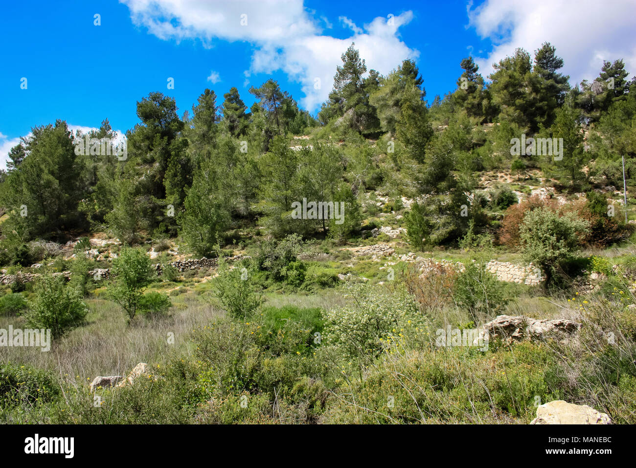 Nature and landscape around Jerusalem in Israel Landscape and nature at ...