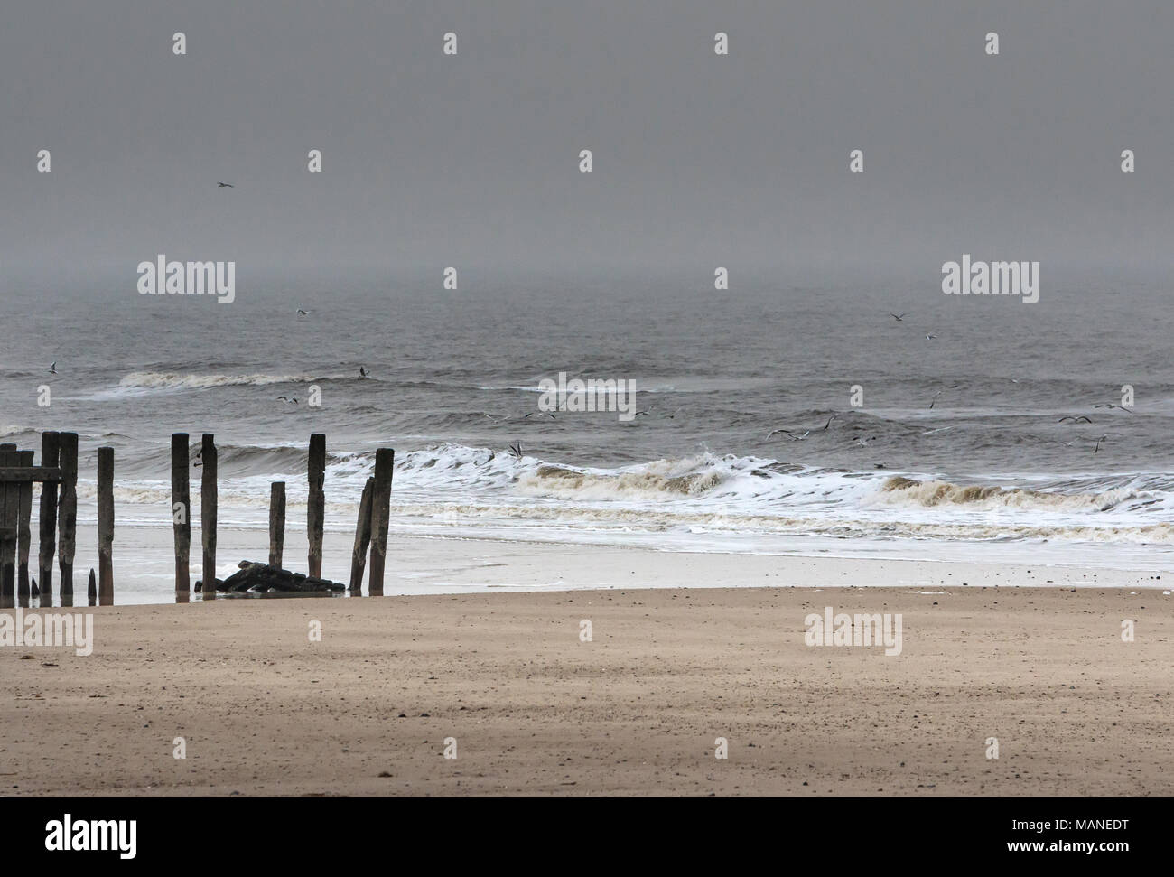 Water receding from beach in hi-res stock photography and images - Alamy