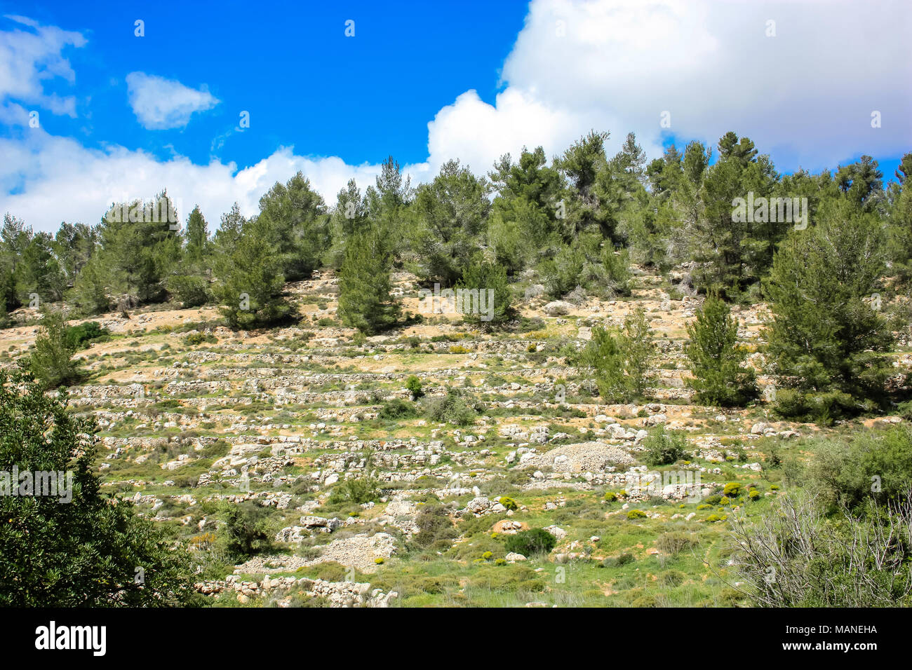 Nature and landscape around Jerusalem in Israel Landscape and nature at ...