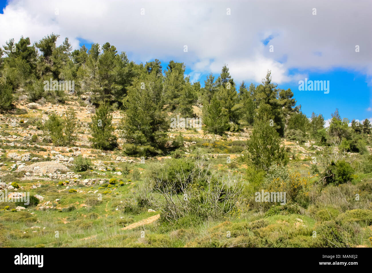Nature and landscape around Jerusalem in Israel Landscape and nature at ...