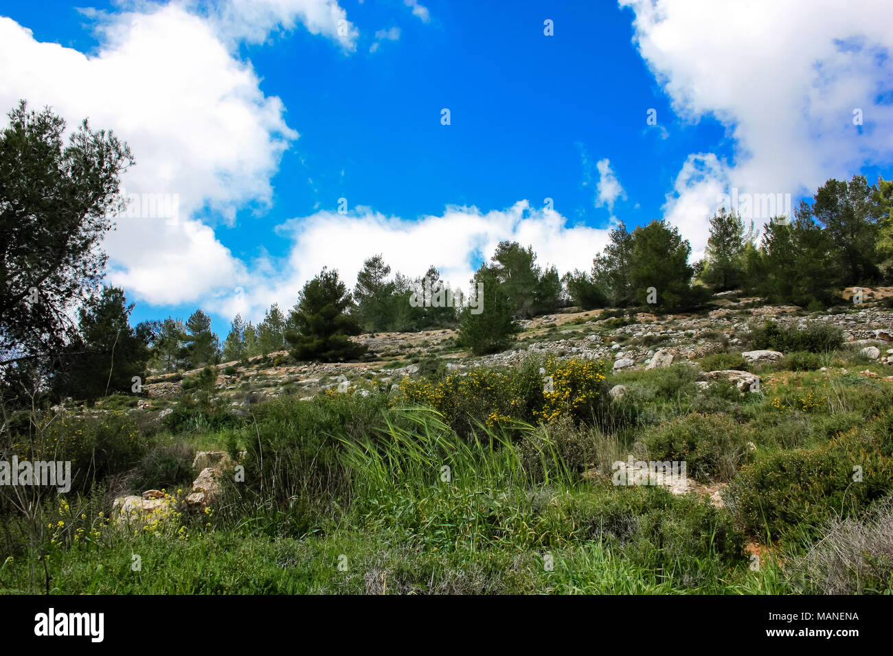 Nature and landscape around Jerusalem in Israel Landscape and nature at ...