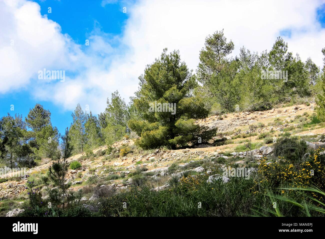 Nature and landscape around Jerusalem in Israel Landscape and nature at ...