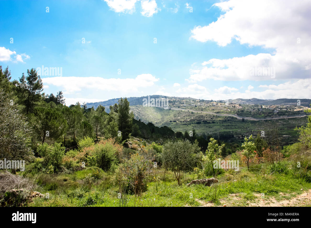 Nature and landscape around Jerusalem in Israel Landscape and nature at ...