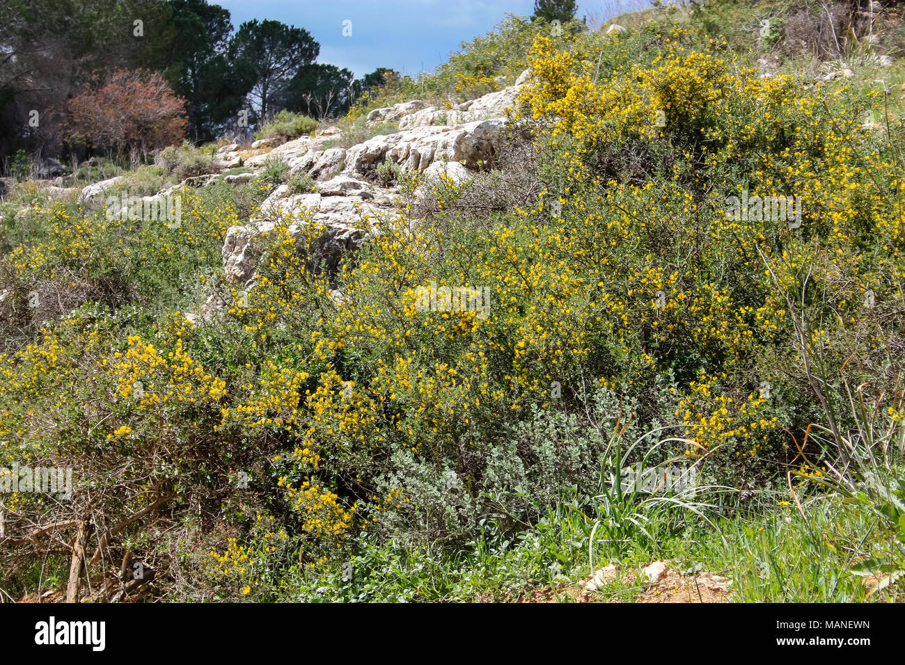Nature and landscape around Jerusalem in Israel Landscape and nature at ...