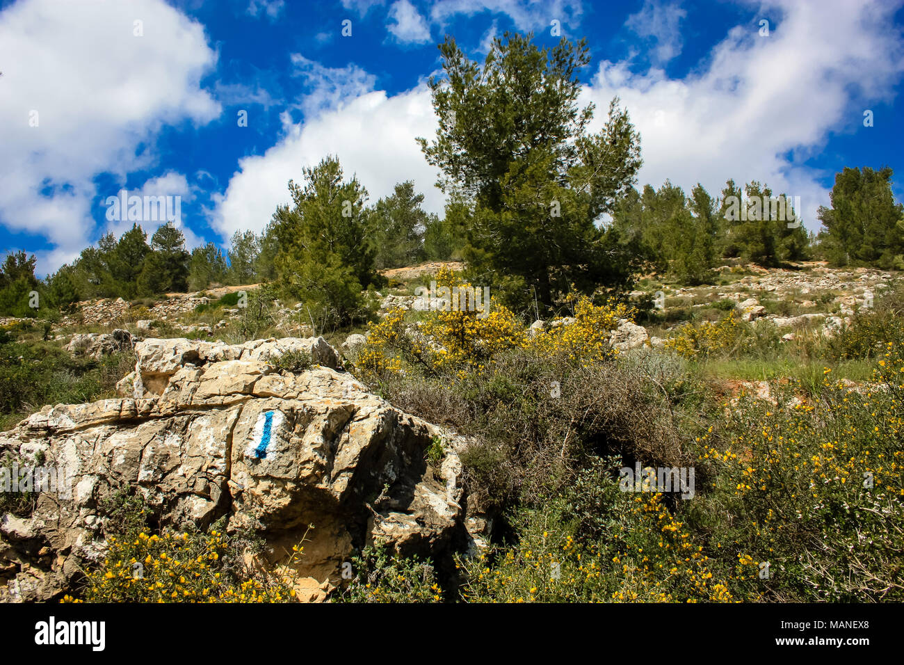 Nature and landscape around Jerusalem in Israel Landscape and nature at ...