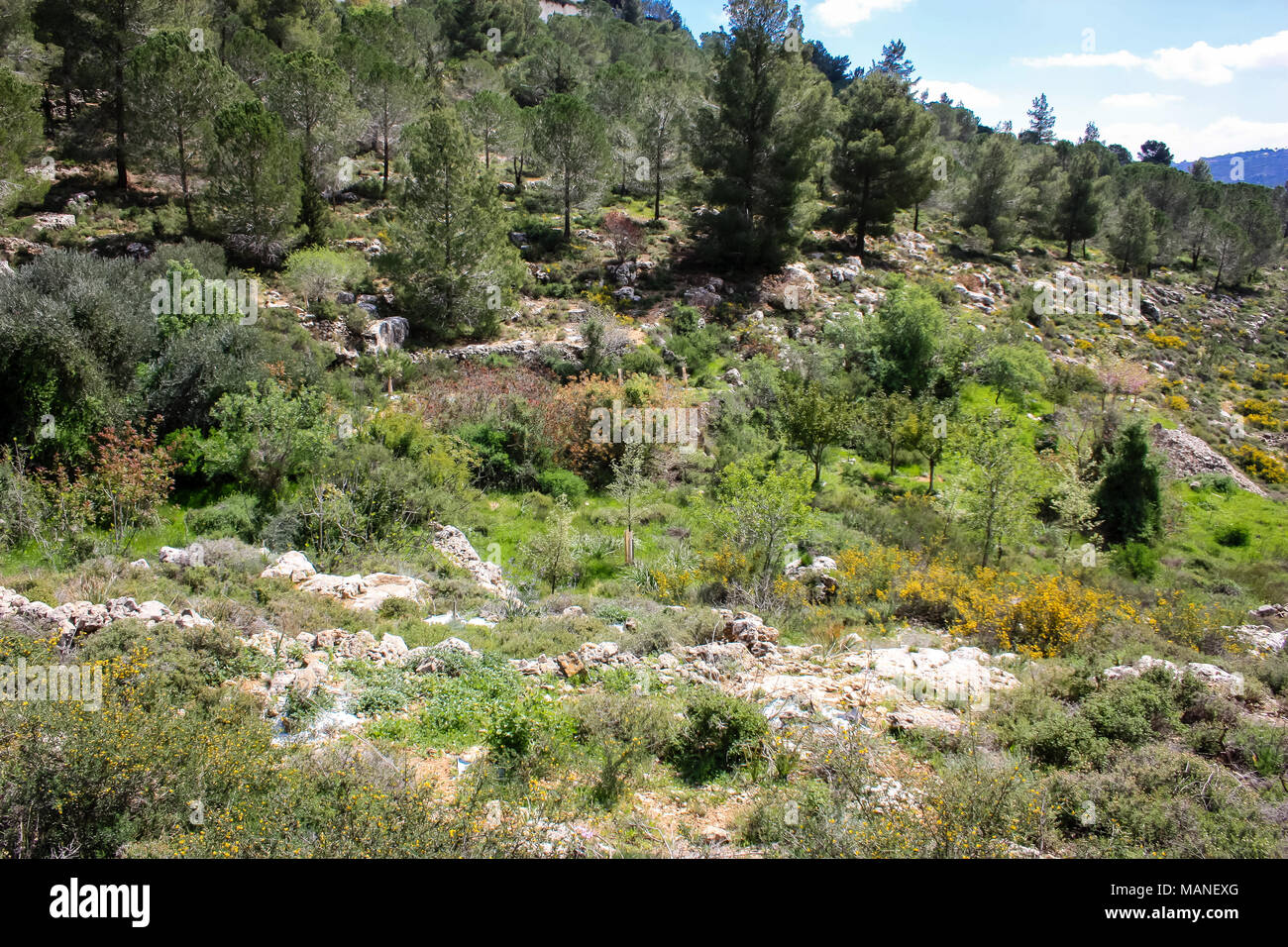 Nature and landscape around Jerusalem in Israel Landscape and nature at ...