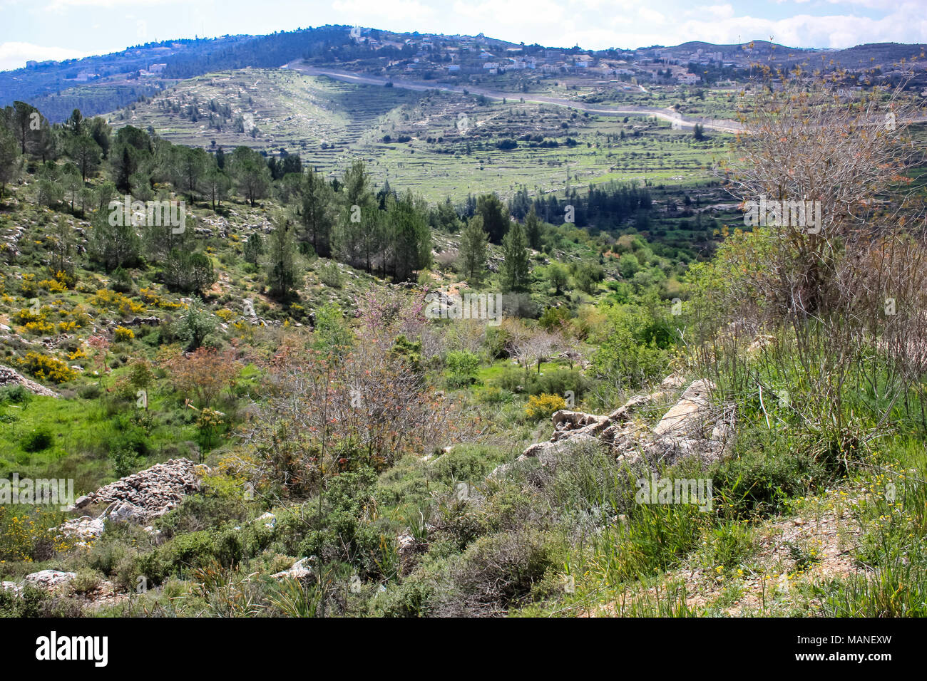 Nature and landscape around Jerusalem in Israel Landscape and nature at ...