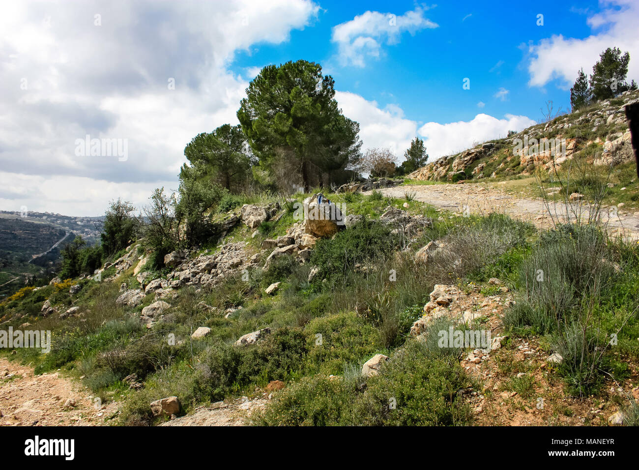Nature and landscape around Jerusalem in Israel Landscape and nature at ...
