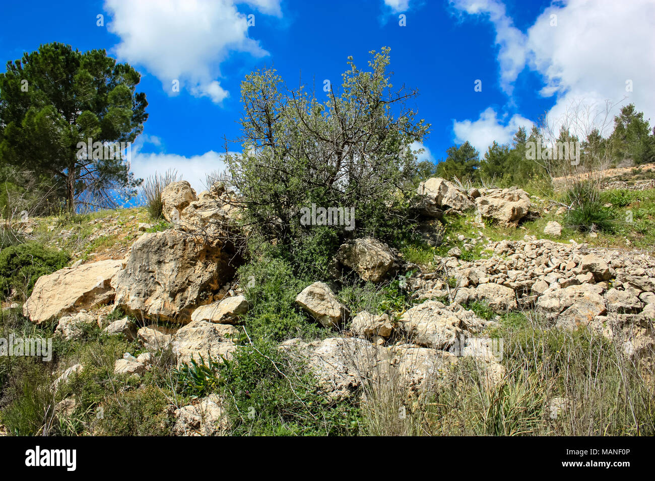 Nature and landscape around Jerusalem in Israel Landscape and nature at ...