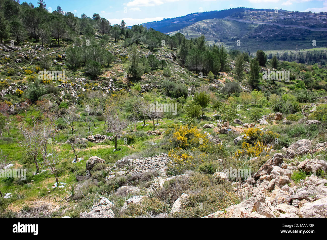 Nature and landscape around Jerusalem in Israel Landscape and nature at ...